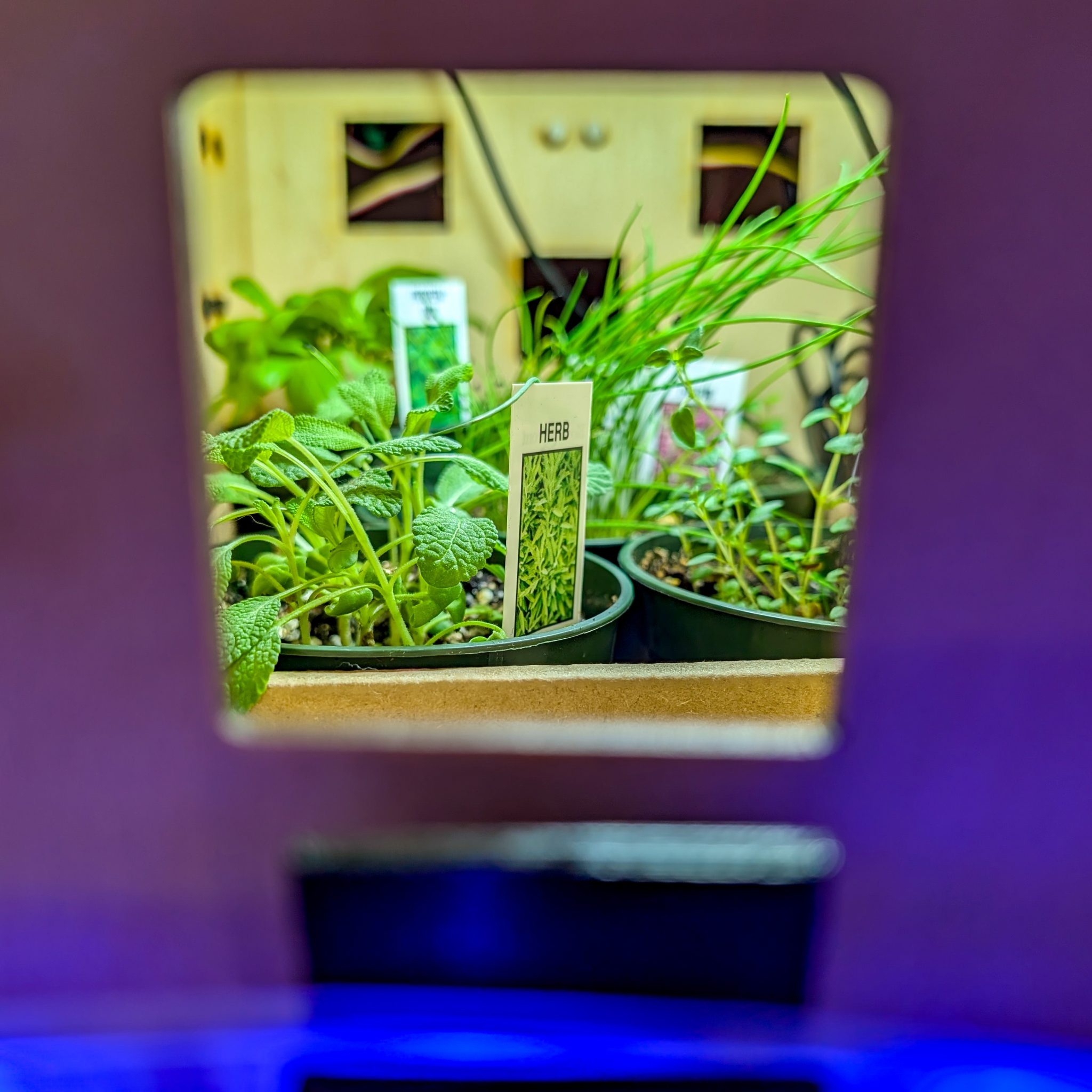 Smart Greenhouses - Maine Mathematics & Science Alliance