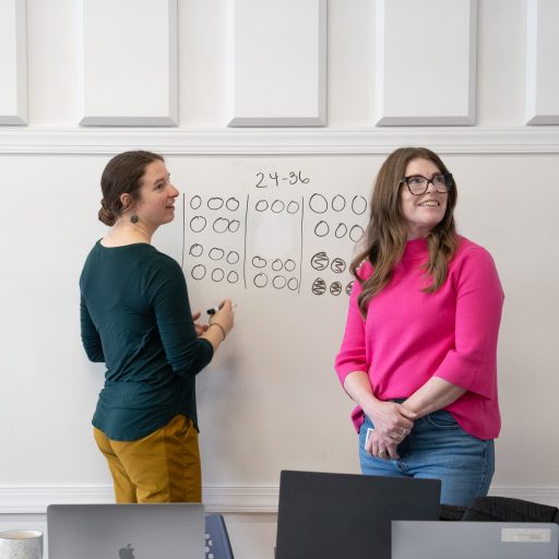 Maine Mathematics & Science Alliance